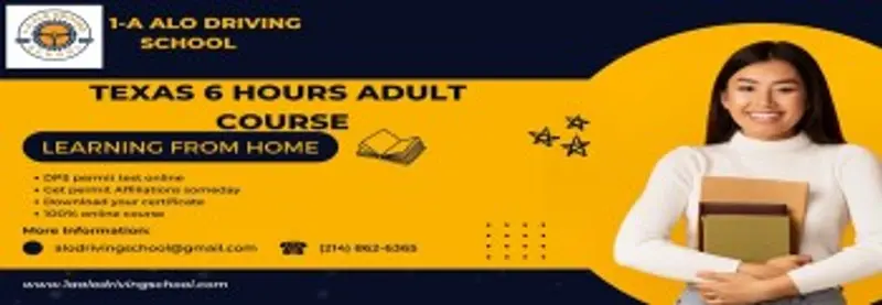 Alo Driving School | Adults Driver Ed - $22.99